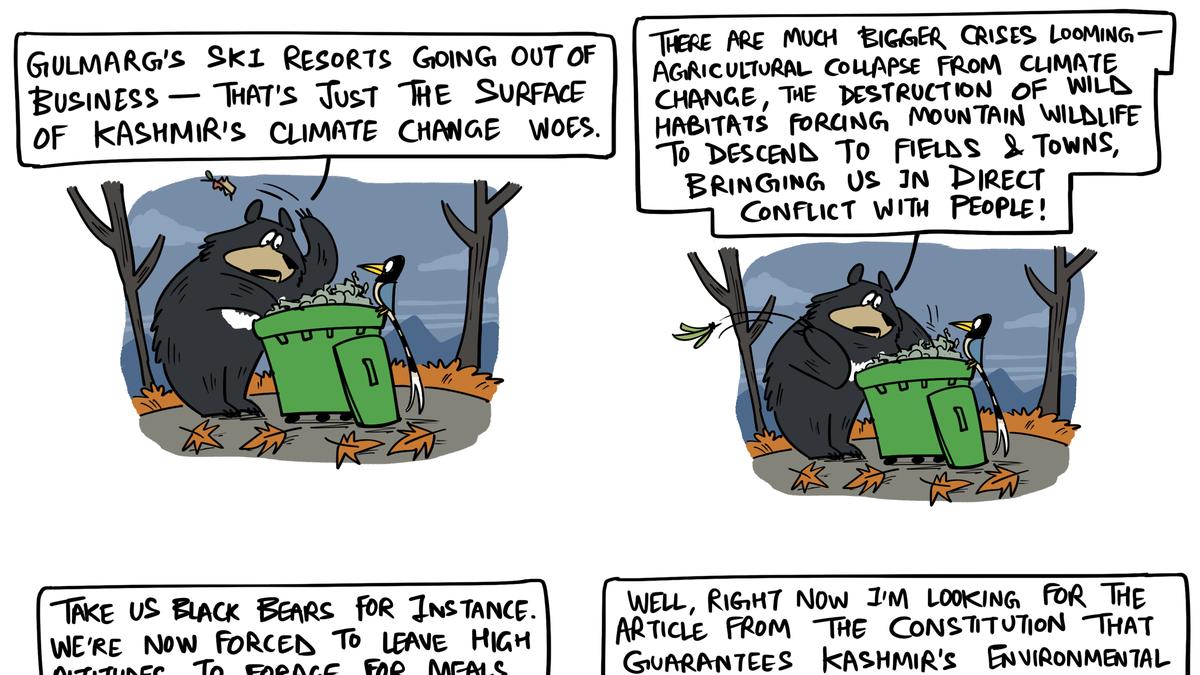 Green Humour by Rohan Chakravarty on Kashmir’s climate change woes - The Hindu